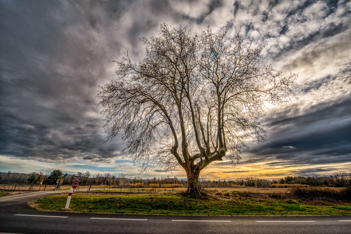Croisée des chemins - PapaPaper